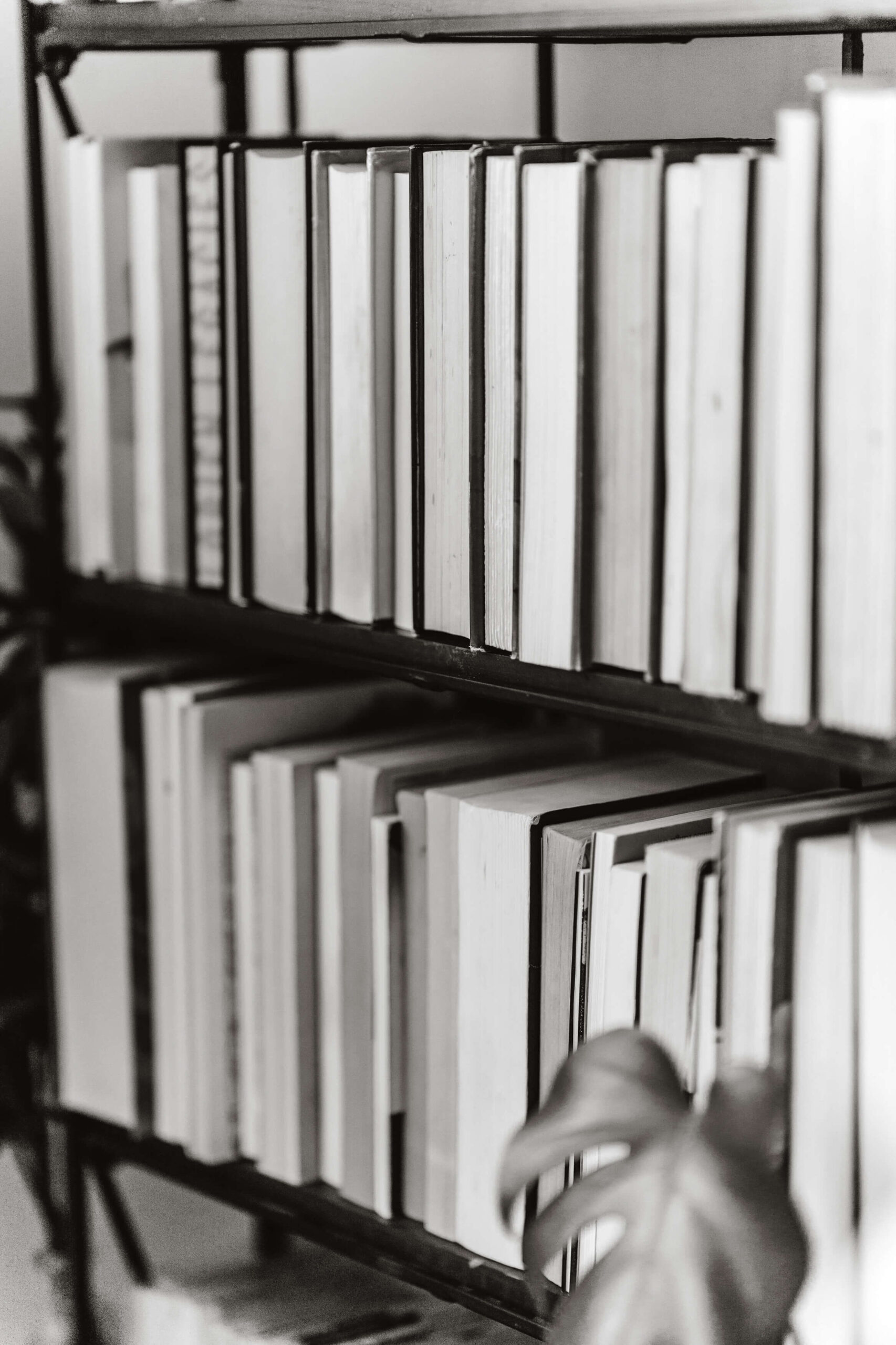 The Library | Our Blog | Taylor Monroe + Co